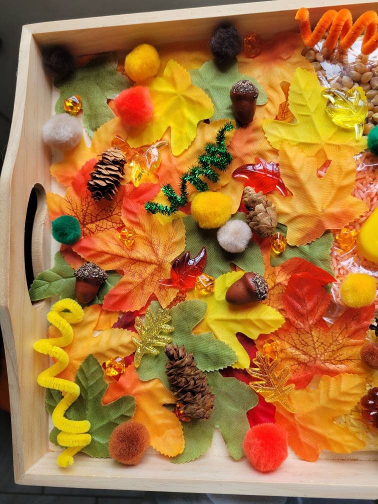 Fall Harvest Sensory Kit Fall Sensory Bin Tinker Box - Etsy