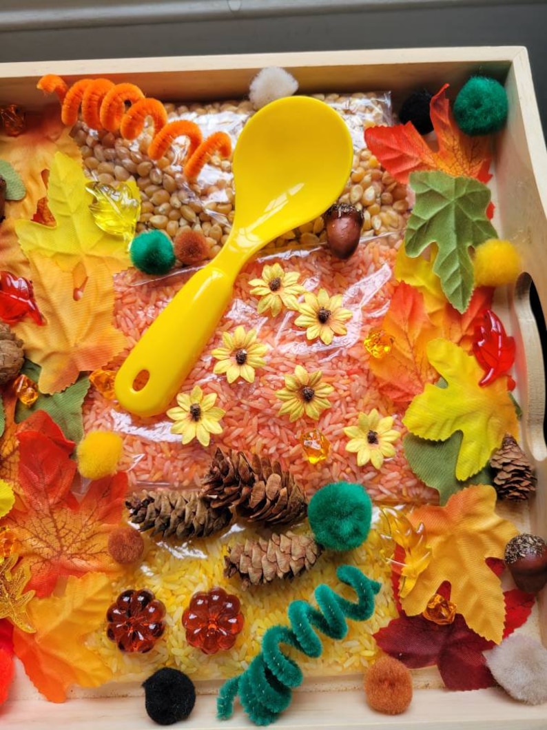 Fall Harvest Sensory Kit Fall Sensory Bin Tinker Box - Etsy