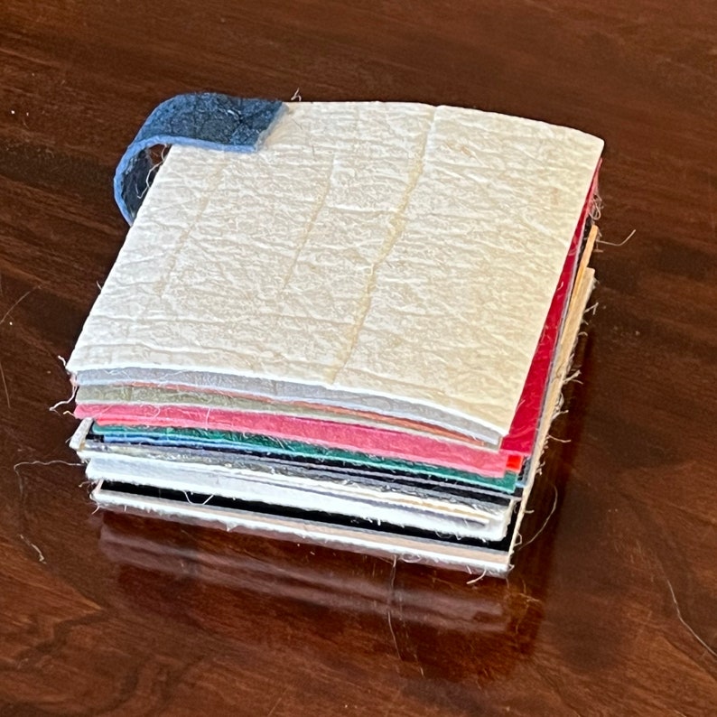 Piñatex® Sample Collection - Pineapples Leather Alternative - Etsy UK