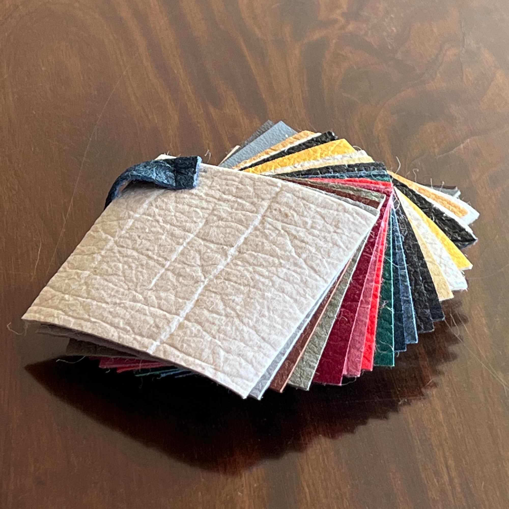 Piñatex® Sample Collection Pineapples Leather Alternative - Etsy UK