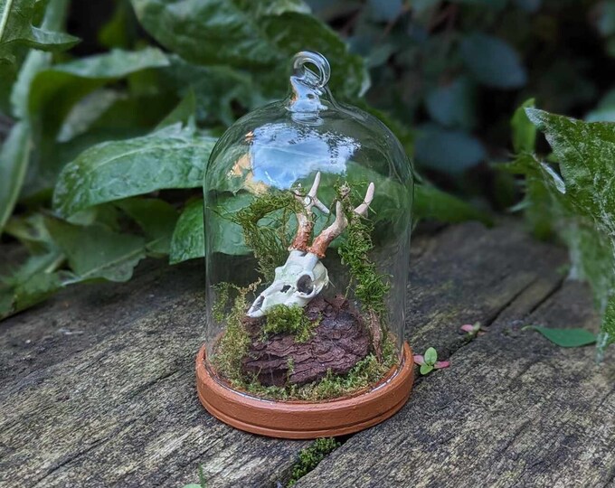 Handmade Forest Scene in Glass Dome,forest Terrarium - Etsy
