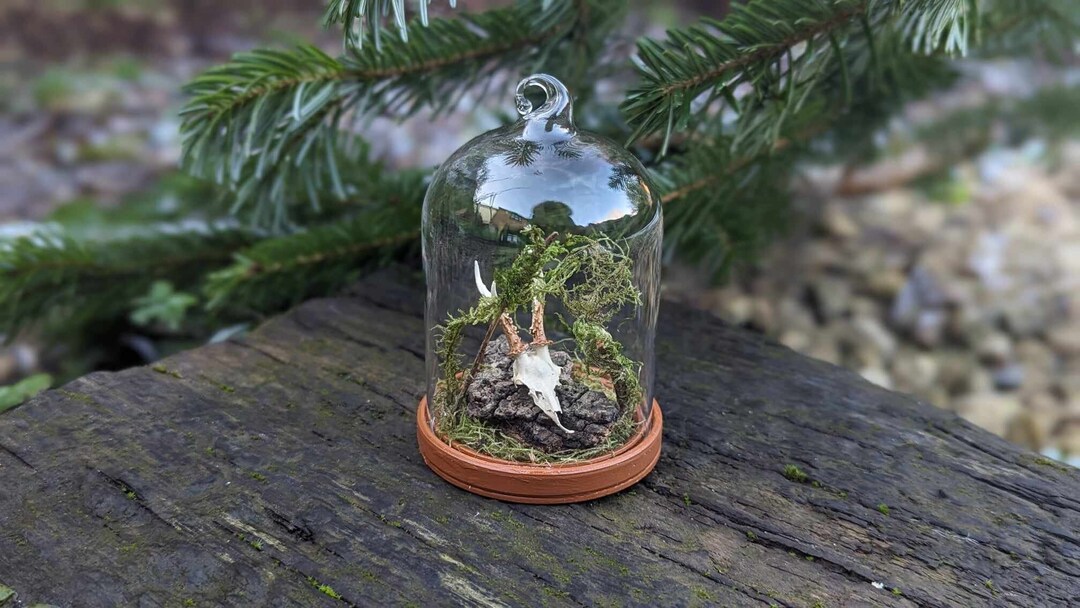 Handmade Forest Scene in Glass Dome,forest Terrarium - Etsy