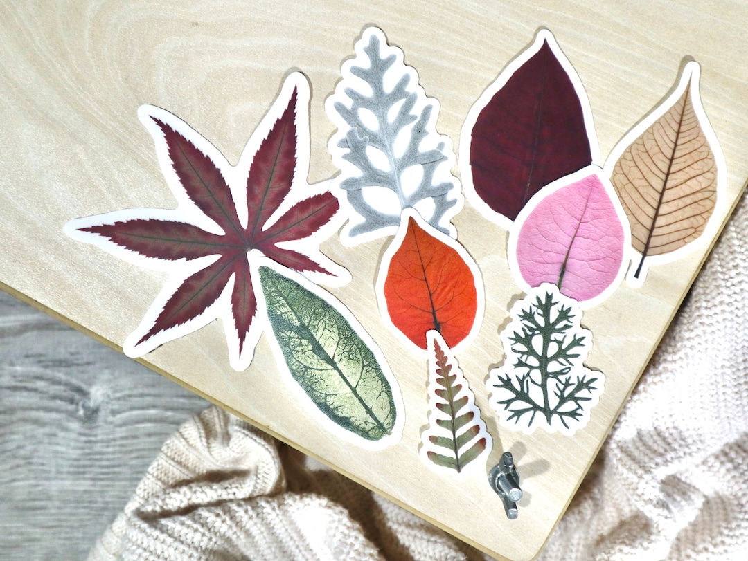Pressed Leaf Vinyl Transparent Sticker Pack, Water Bottle Foliage ...