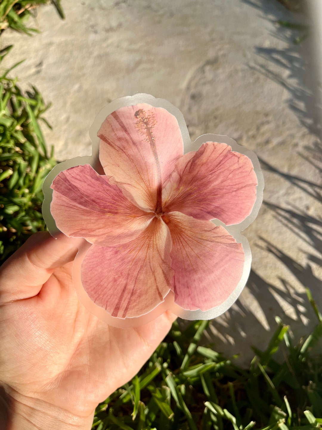 Hibiscus Pressed Flower Sticker Vinyl Floral Transparent Sticker Nature ...
