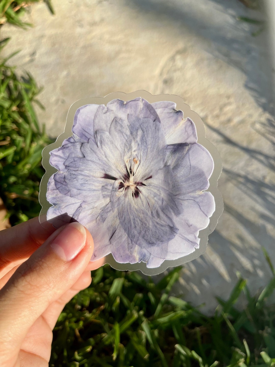 Rose of Sharon Pressed Flower Sticker Vinyl Floral Transparent Sticker ...