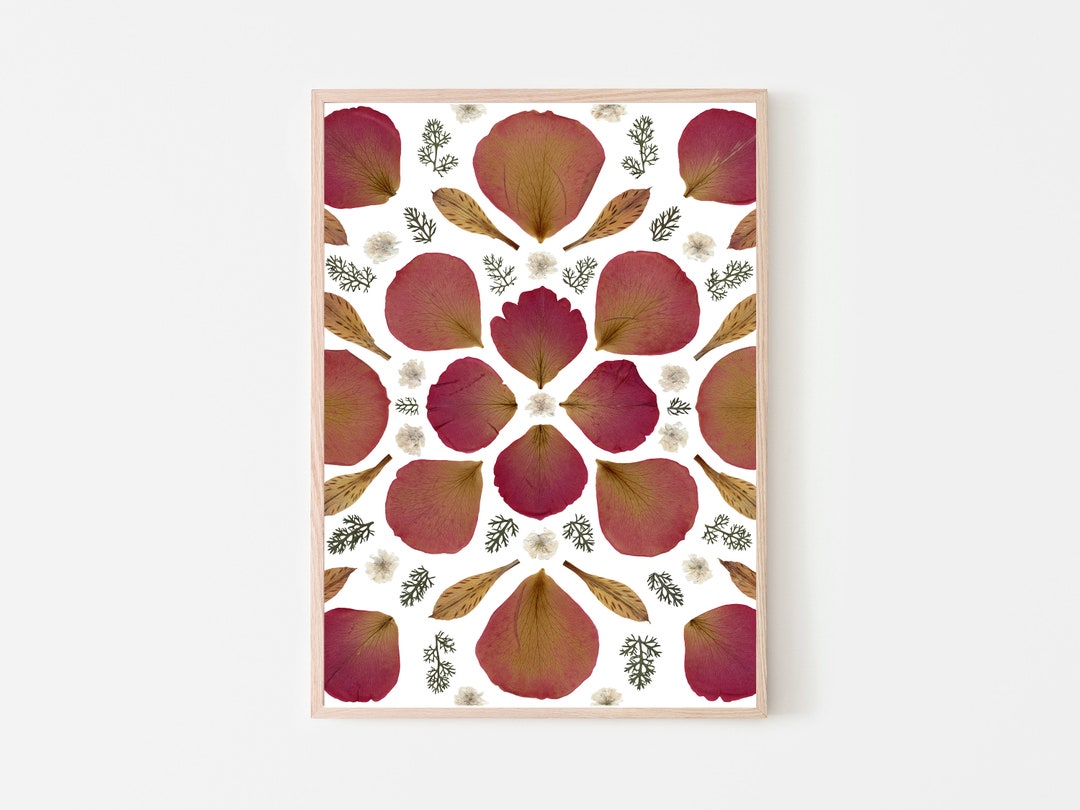 Modern Flower Wall Decor Nature Inspired Art Print Pressed Flower Art ...