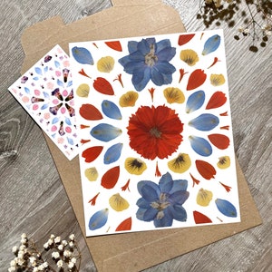 Modern Pressed Flower Art Print Nature Inspired Art Print Real Flower ...