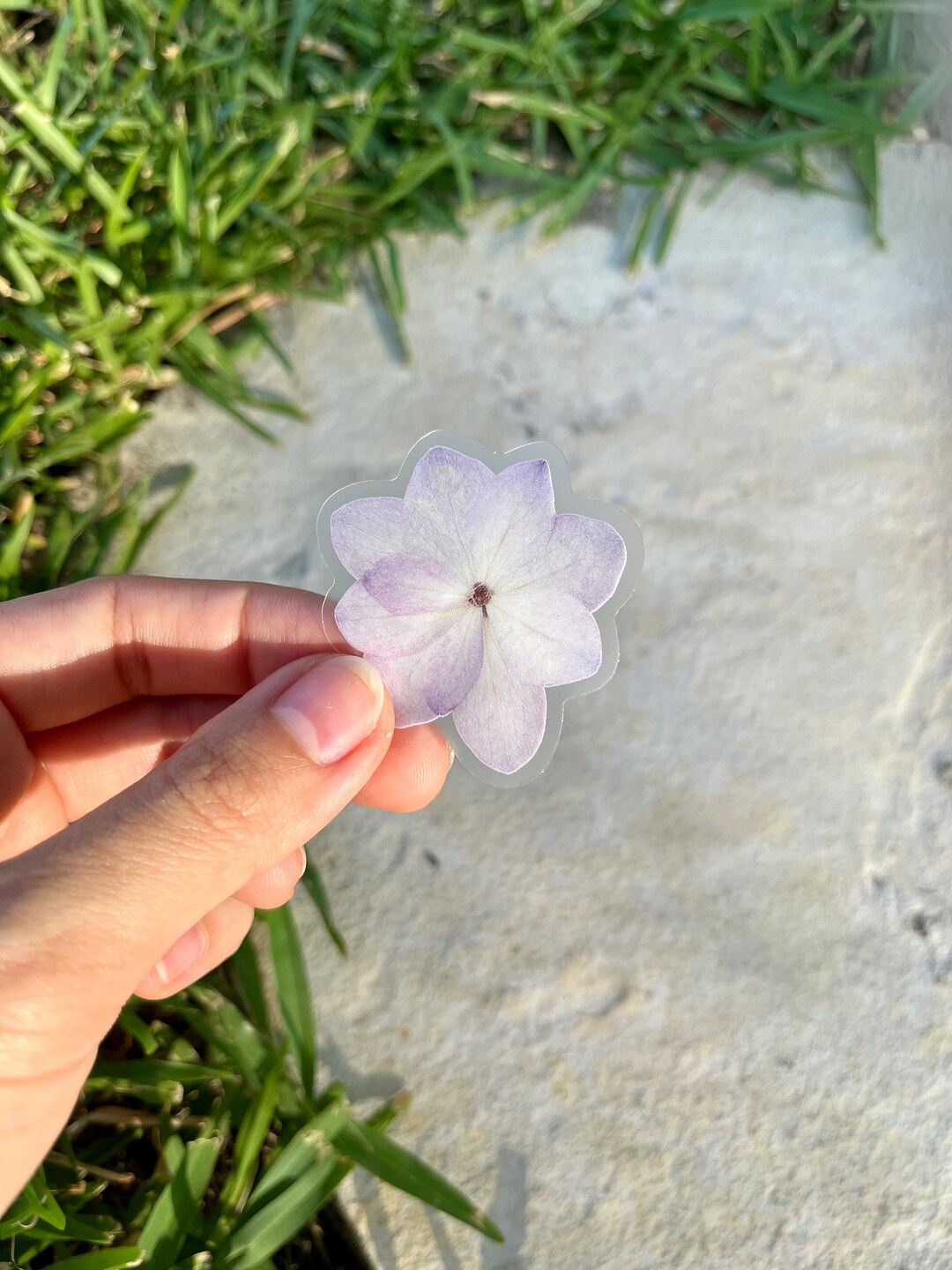 Hydrangea Pressed Flower Sticker Vinyl Floral Transparent Sticker ...