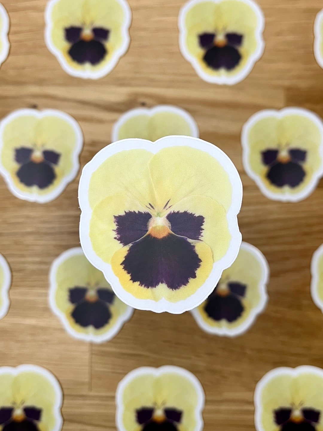 Yellow Pansy Sticker Pressed Flower Sticker Cute Floral Sticker Real ...