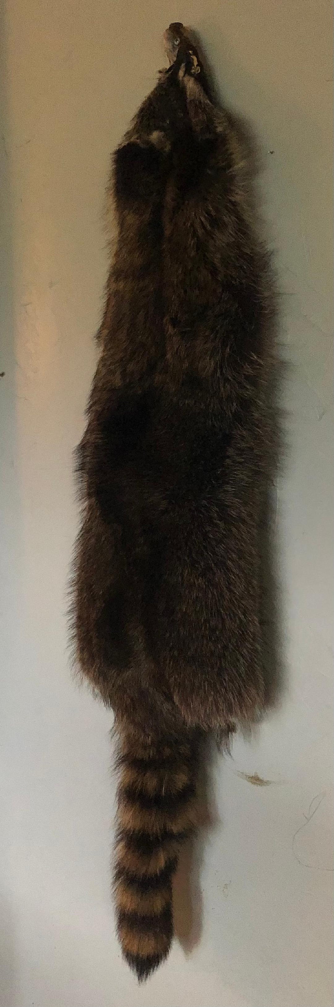 Raccoon Fur - Etsy
