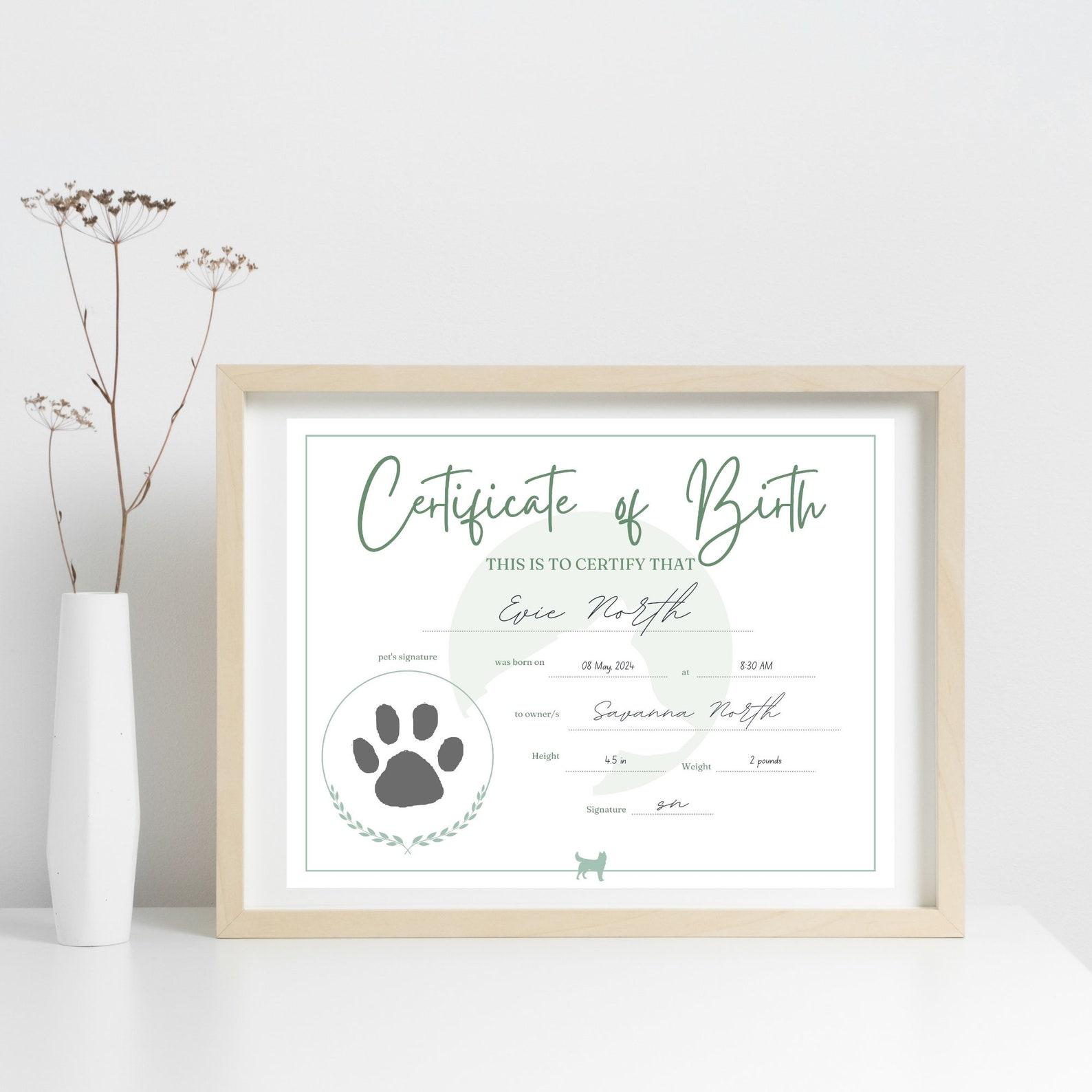 Editable Puppy Birth Certificate Set of 3 Dog Certificate Templates ...
