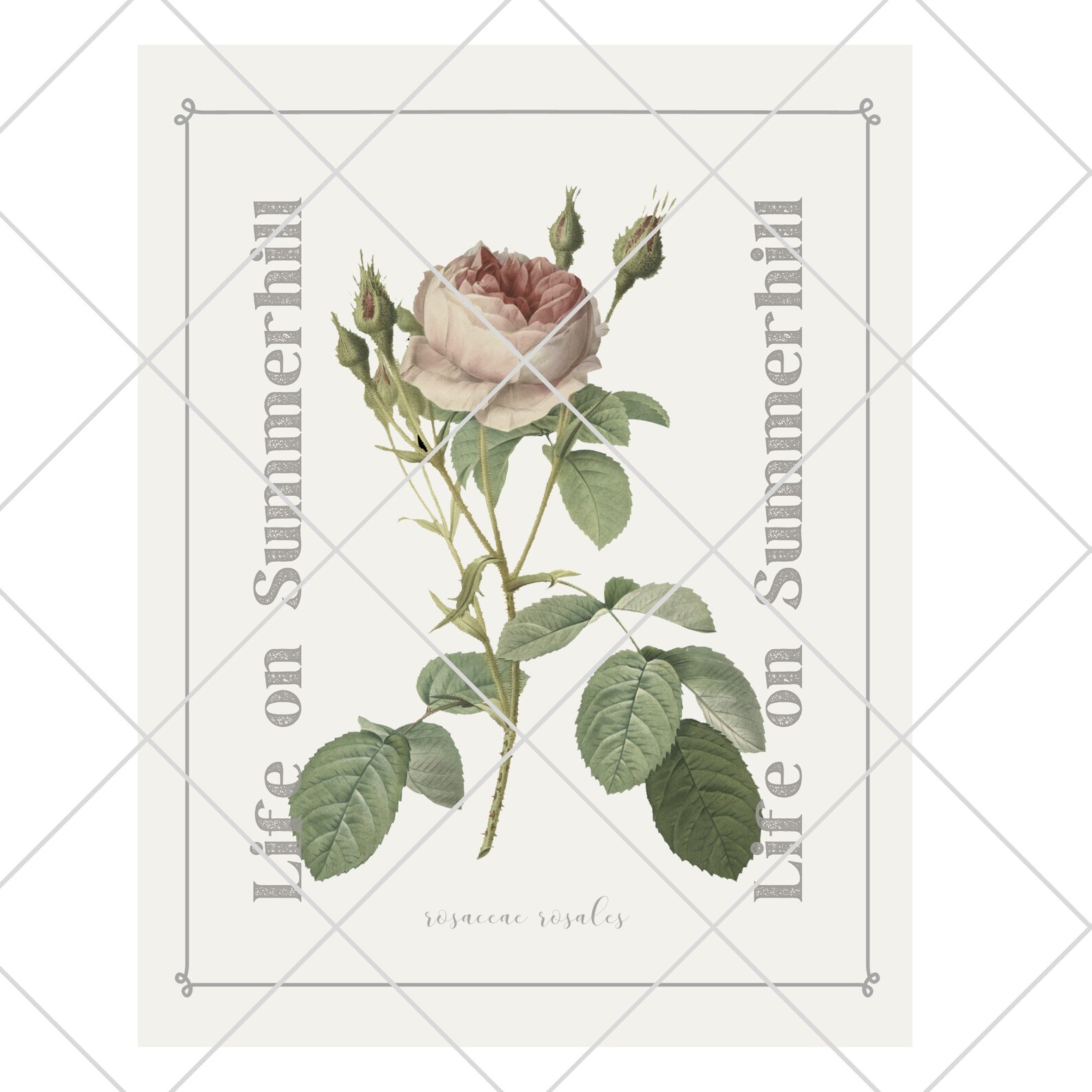Set of 4 Printable Vintage Redoute Roses Botanical Posters Wall Art ...