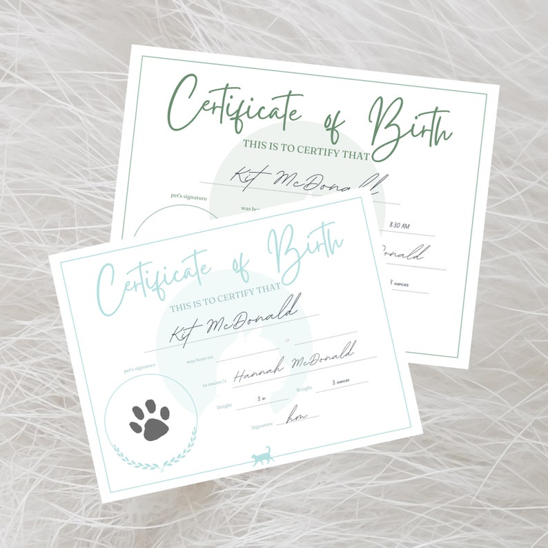 Kitten Birth Certificates | Cat Certificate Printable | Pet Birth Cert ...