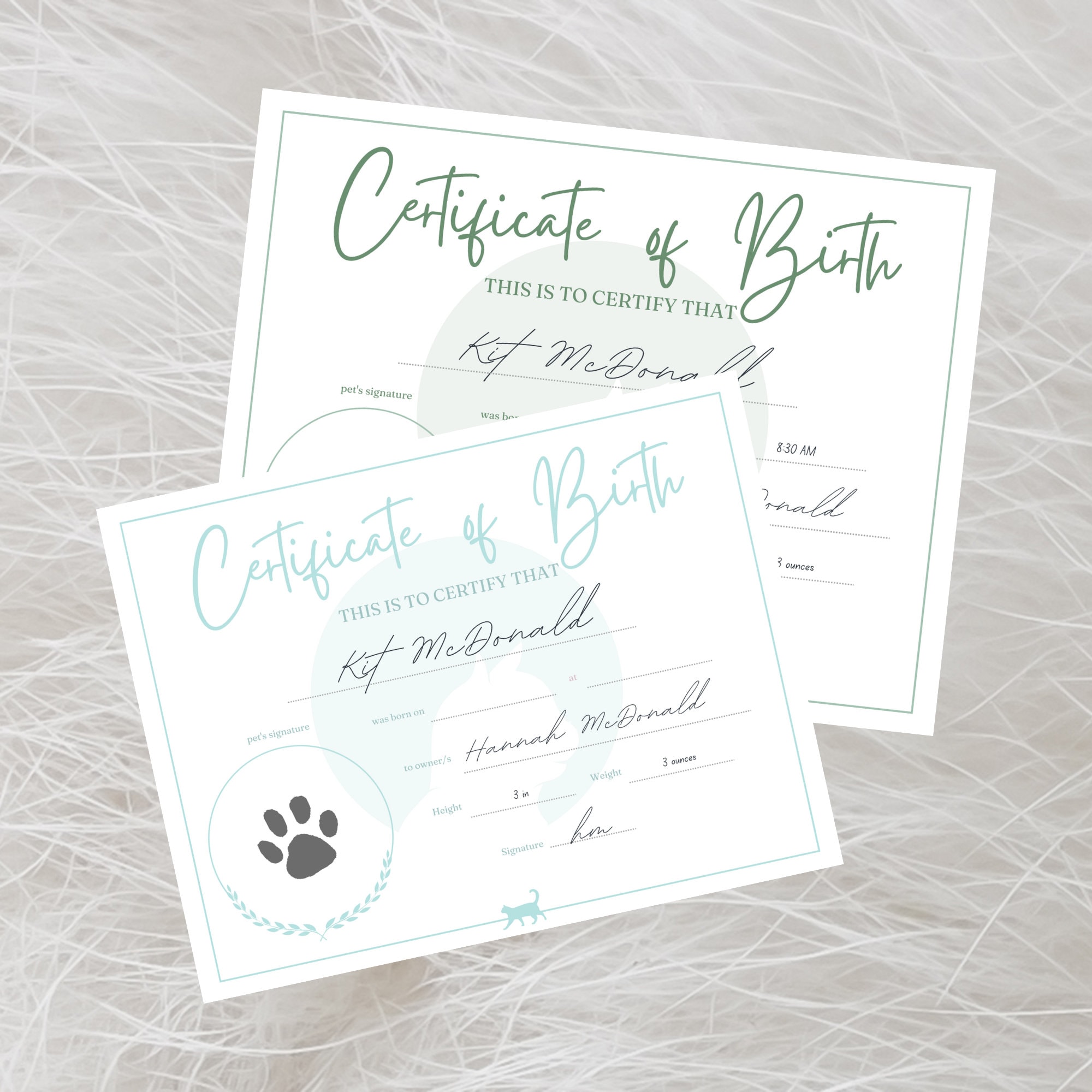 Kitten Birth Certificates | Cat Certificate Printable | Pet Birth Cert ...