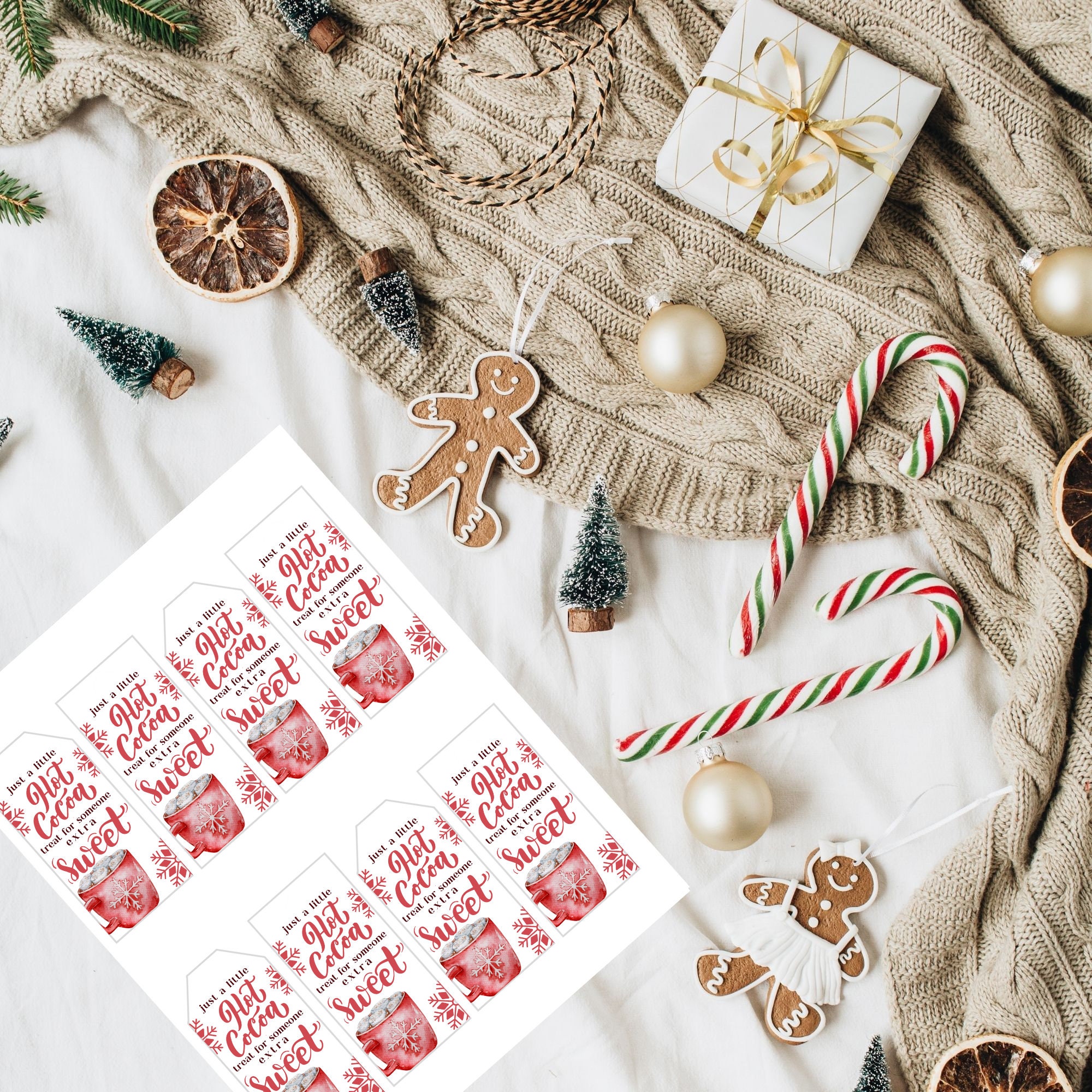 Printable Holiday Red Gift Tag Just A Little Hot Cocoa Treat for ...