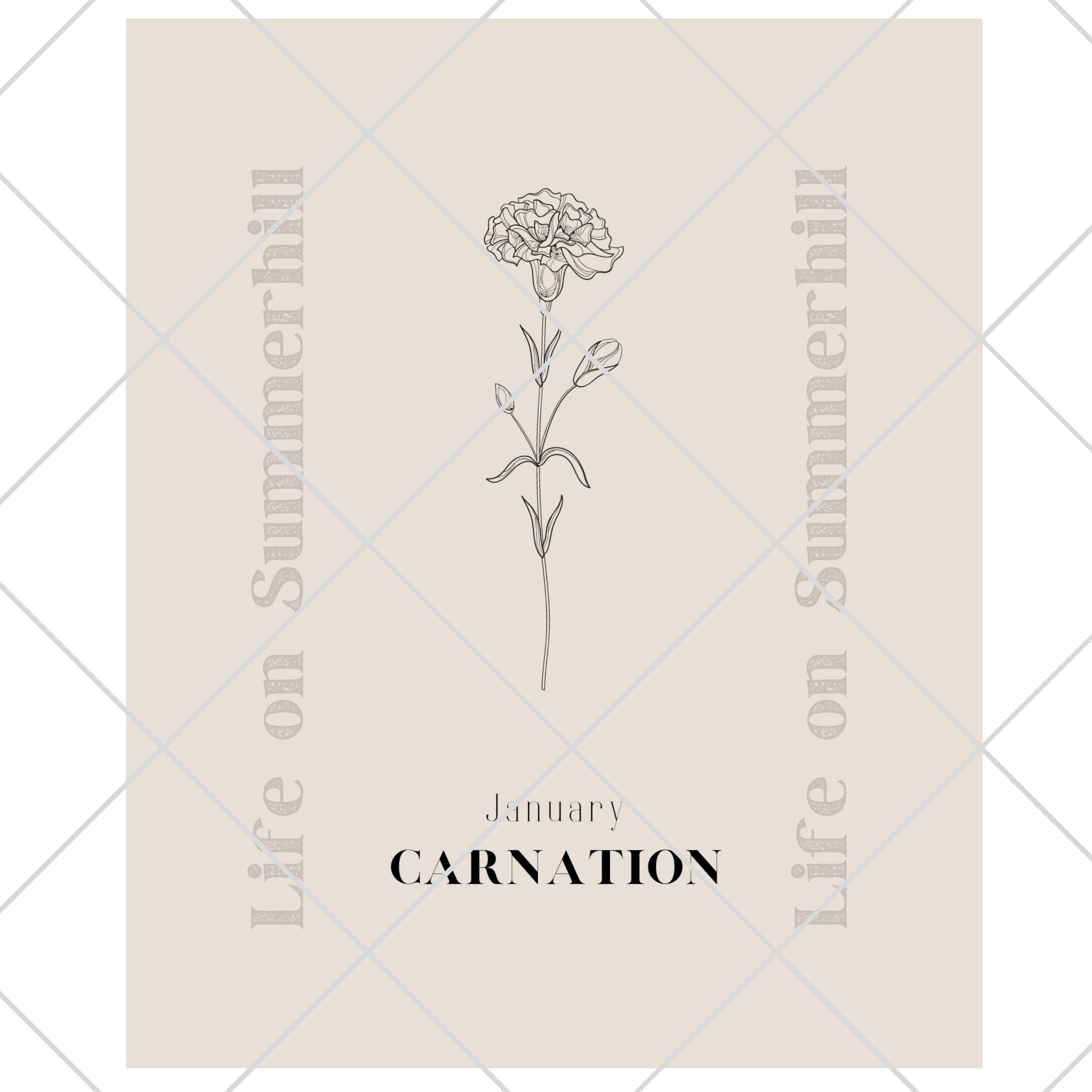 January Carnation birth flower wall art digital printable home | Etsy