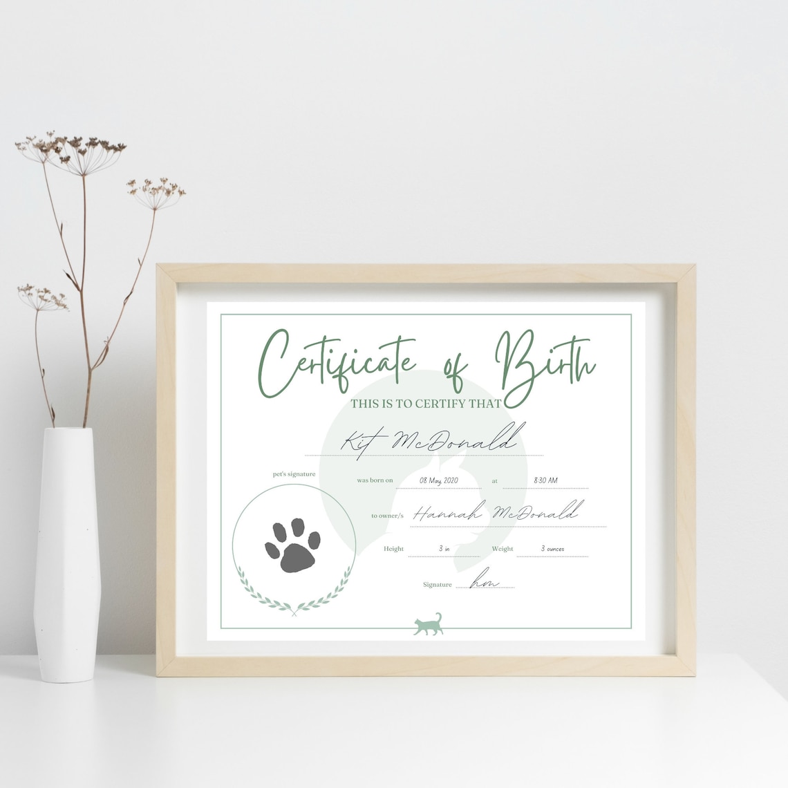 Kitten Birth Certificates | Cat Certificate Printable | Pet Birth Cert ...