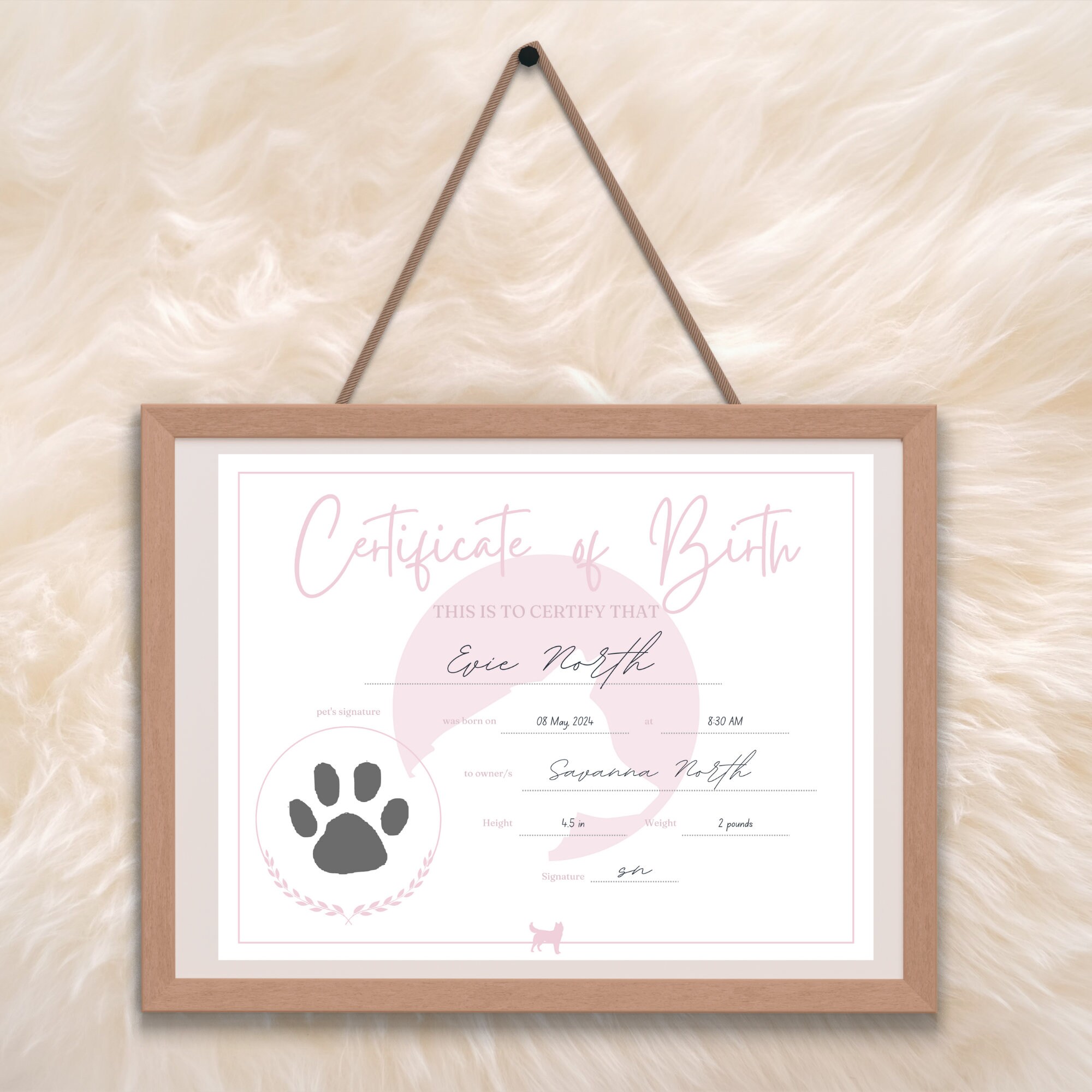 Editable Puppy Birth Certificate Set of 3 Dog Certificate Templates ...