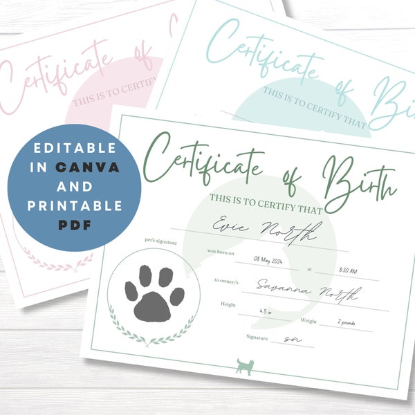 Kitten Birth Certificates Cat Certificate Printable Pet Birth Cert ...