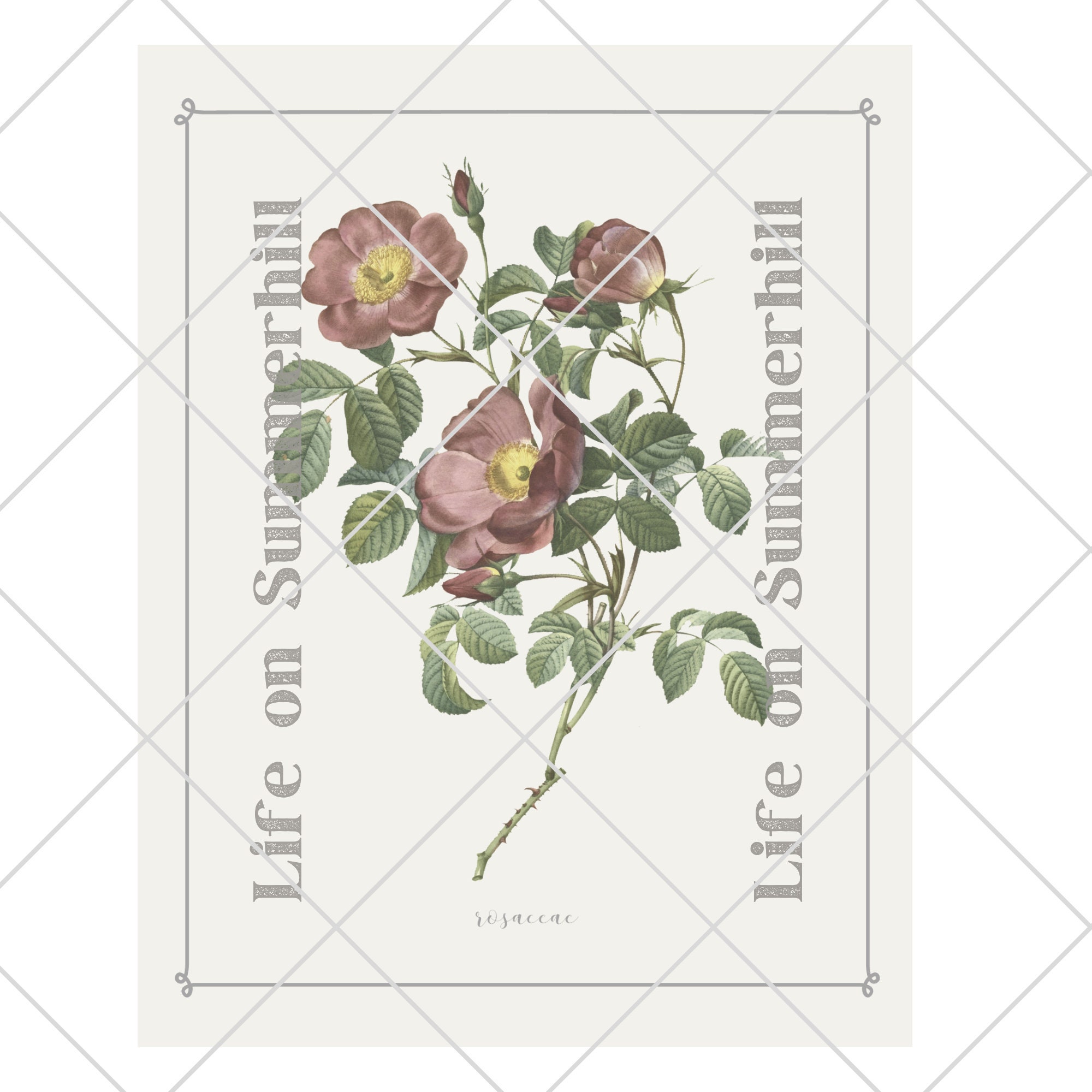 Set of 4 Printable Vintage Redoute Roses Botanical Posters Wall Art ...