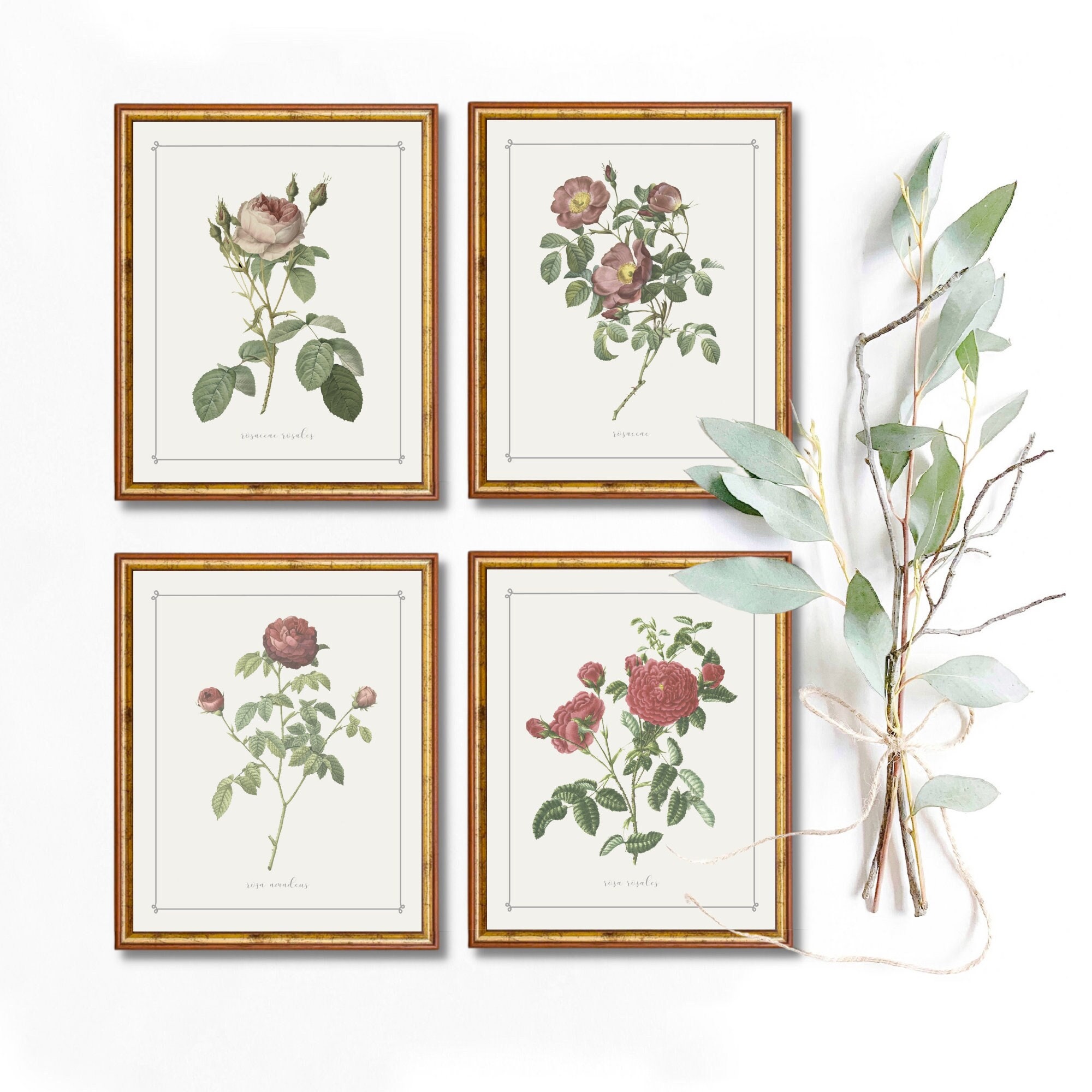 Set of 4 Printable Vintage Redoute Roses Botanical Posters Wall Art ...