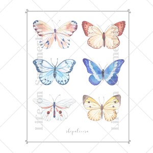 Butterfly Home Wall Decor Watercolor Art Painting of Nature Butterflies ...