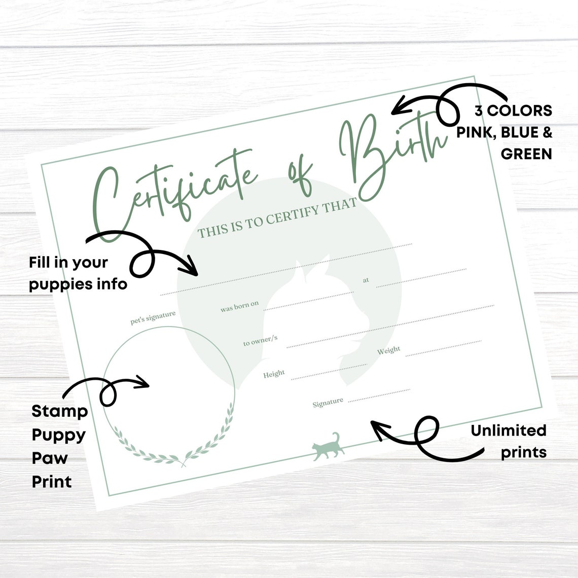 Kitten Birth Certificates Cat Certificate Printable Pet Birth Cert ...