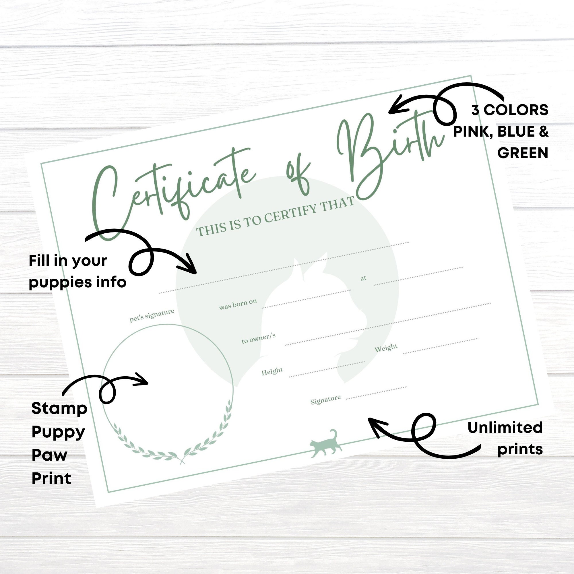 Kitten Birth Certificates Cat Certificate Printable Pet Birth Cert ...