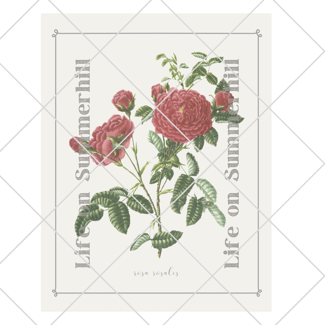 Set of 4 Printable Vintage Redoute Roses Botanical Posters Wall Art ...