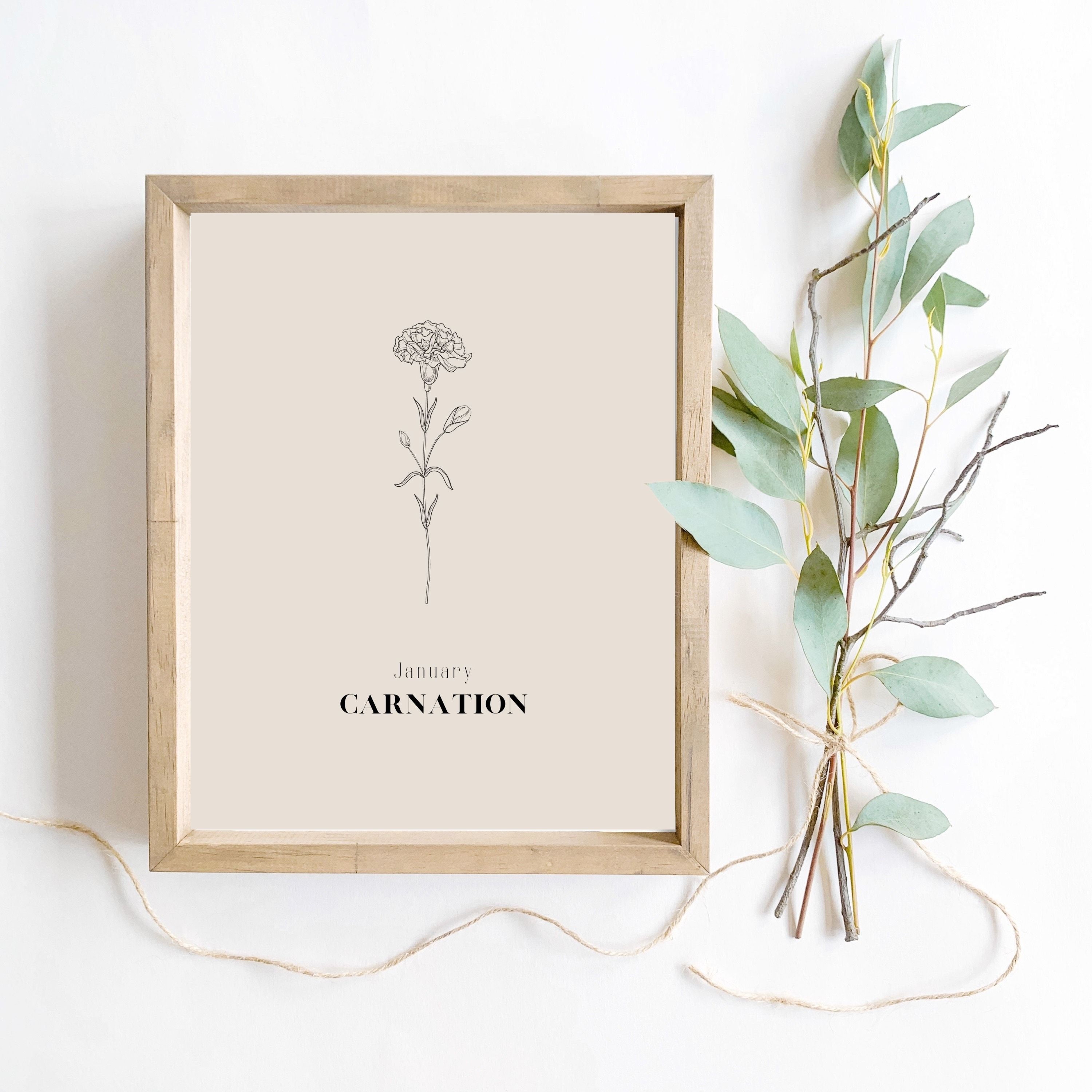 January Carnation birth flower wall art digital printable home | Etsy