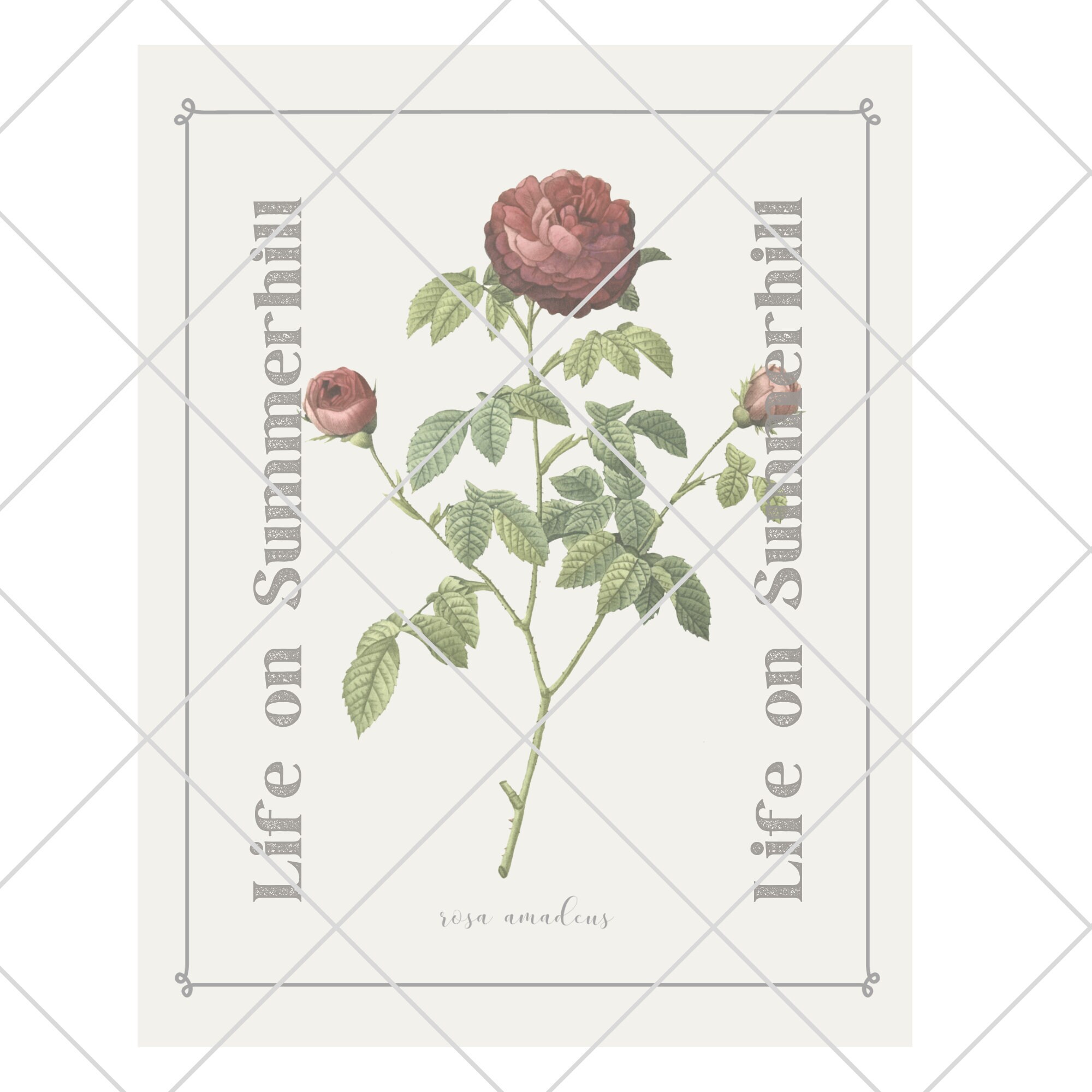 Set of 4 Printable Vintage Redoute Roses Botanical Posters Wall Art ...