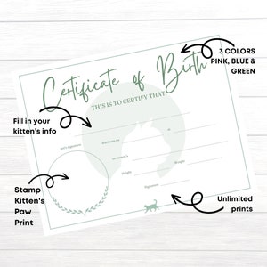 Kitten Birth Certificates | Cat Certificate Printable | Pet Birth Cert ...