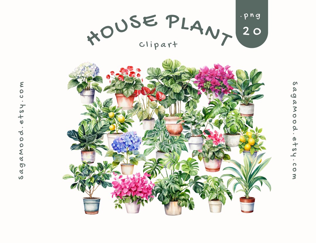 Watercolor House Plant Clipart – Tropical Leaves, Potted Plants ...