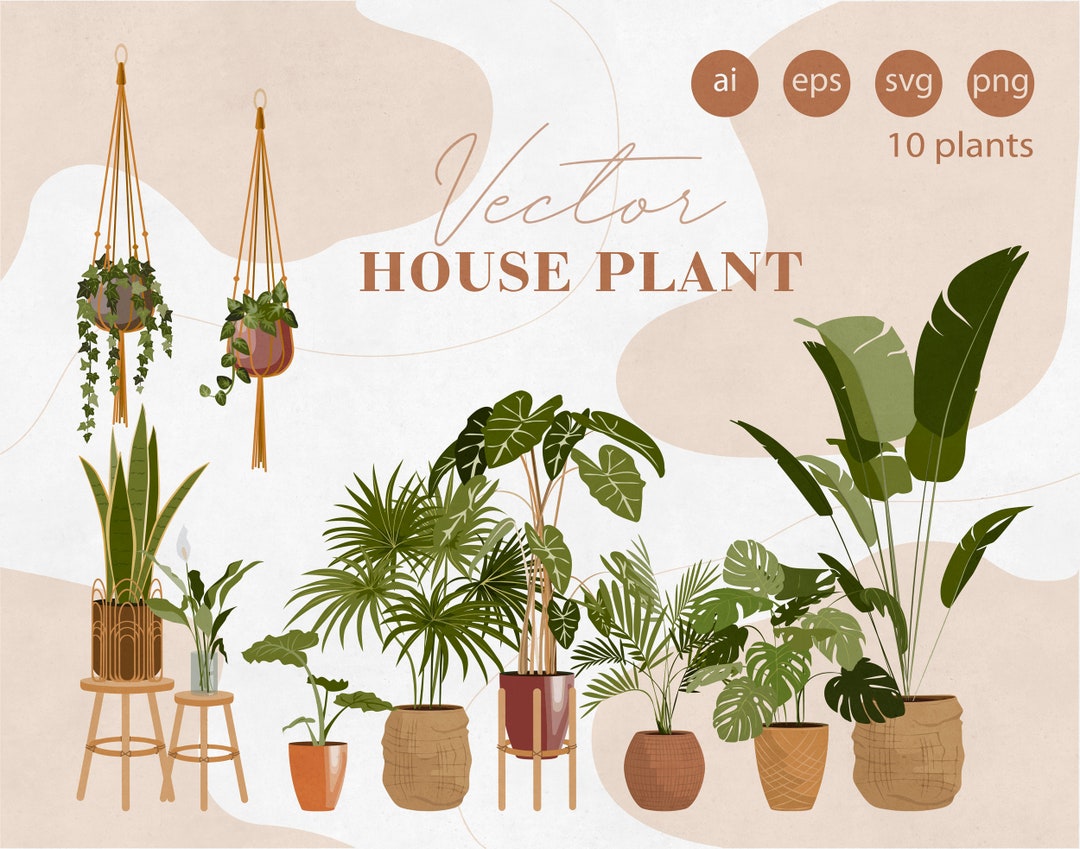 Boho House Plant Clipart - Set of House Plants Clipart - Flat Vector ...