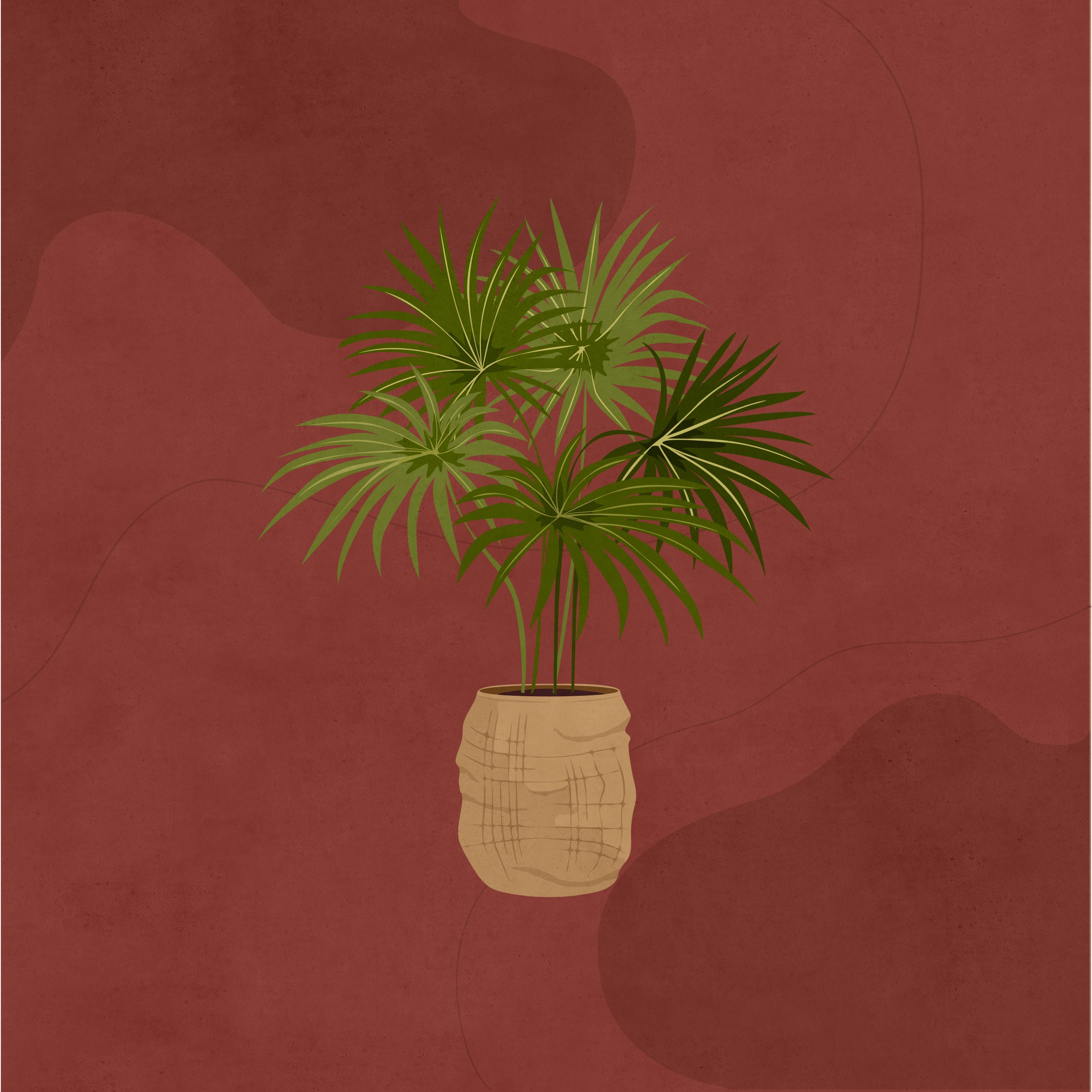 Boho House Plant Clipart - Set of House Plants Clipart - Flat Vector ...