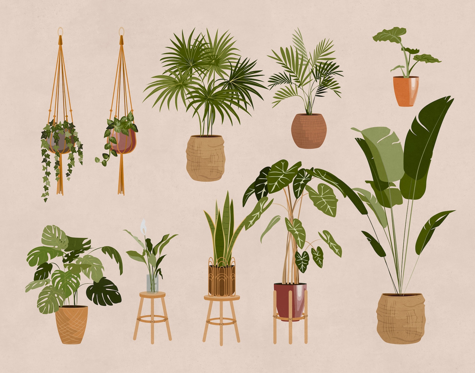 Boho House Plant Clipart - Set of House Plants Clipart - Flat Vector ...