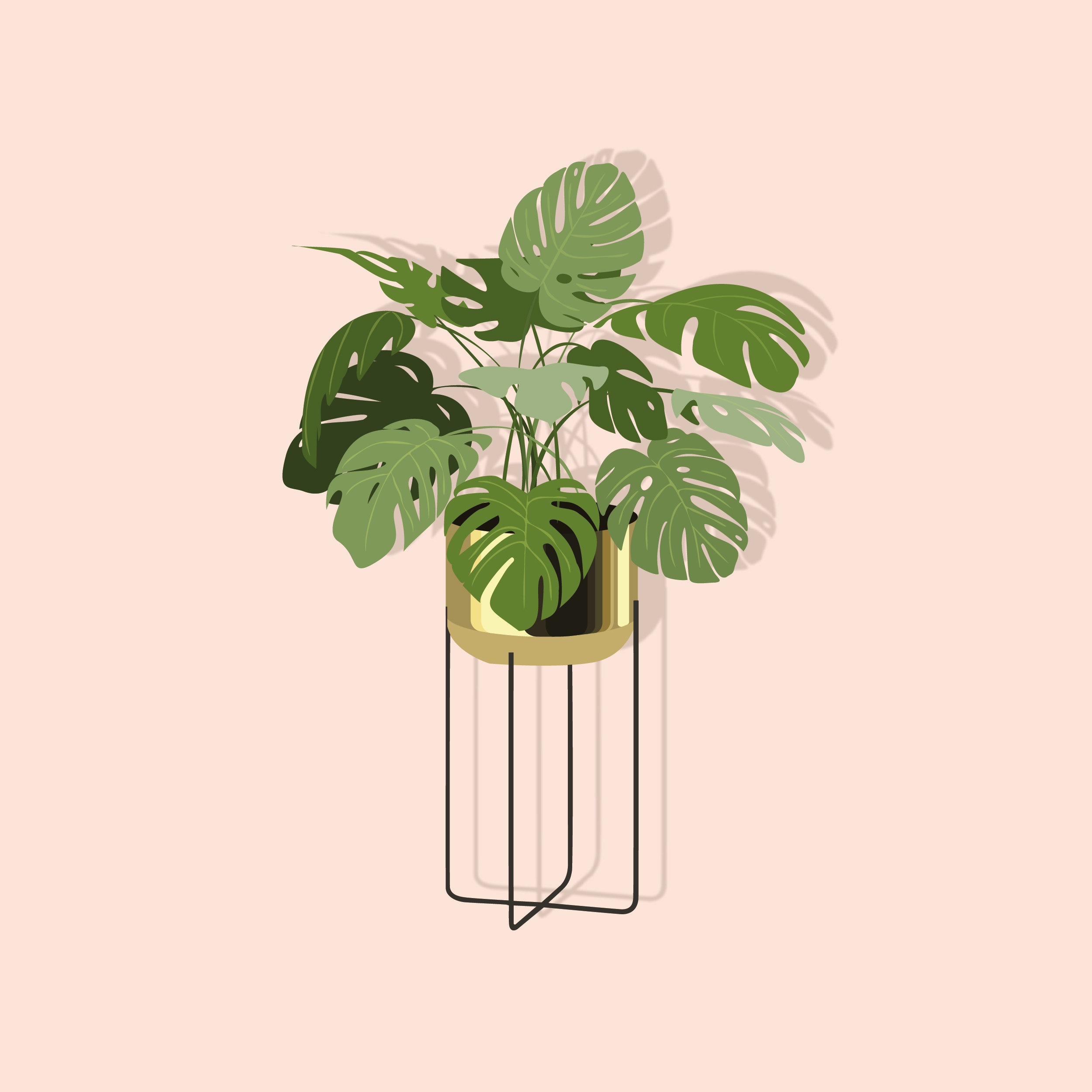 House Plant Clipart - Set of House Plants Clipart - Flat Vector Plant ...