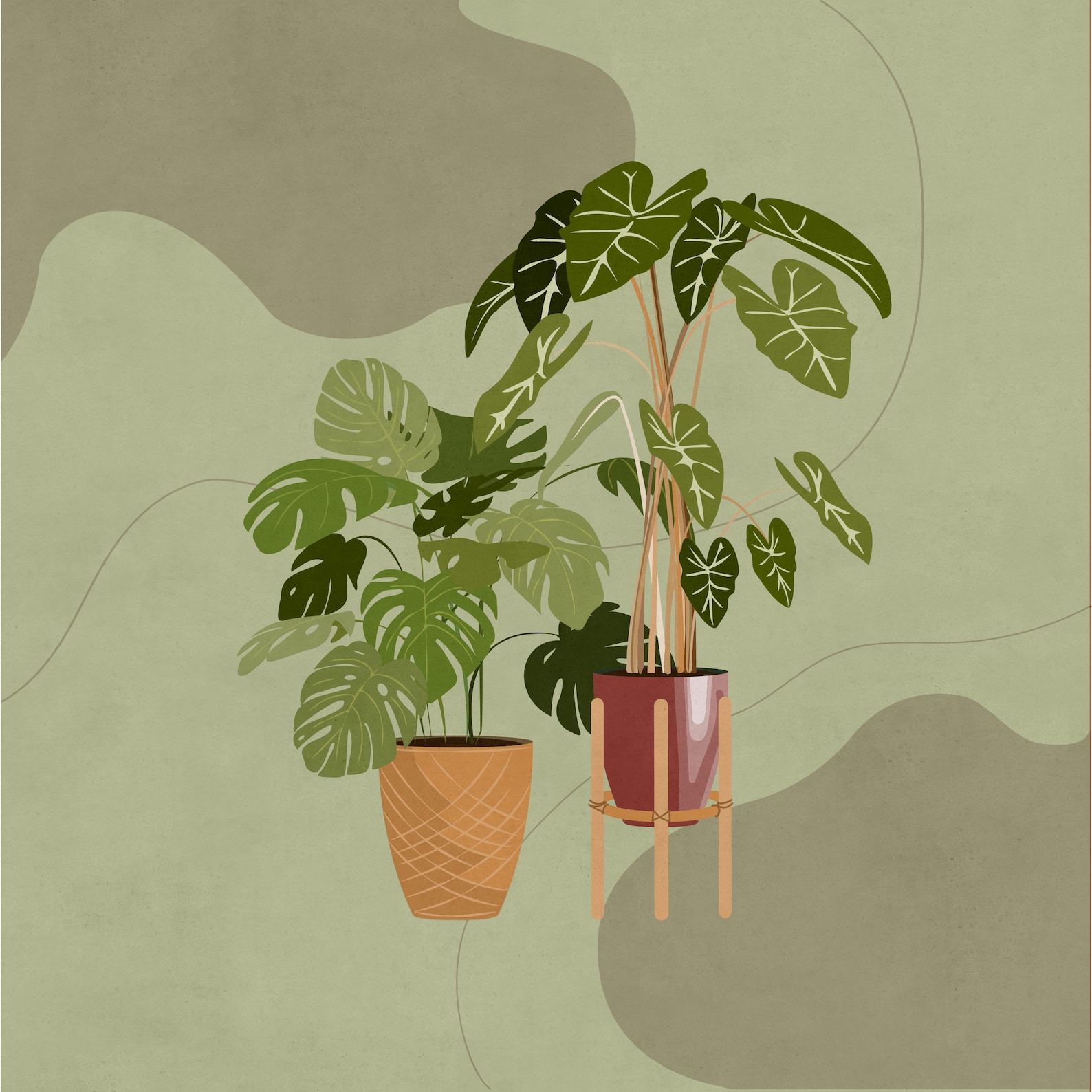 Boho House Plant Clipart - Set of House Plants Clipart - Flat Vector ...