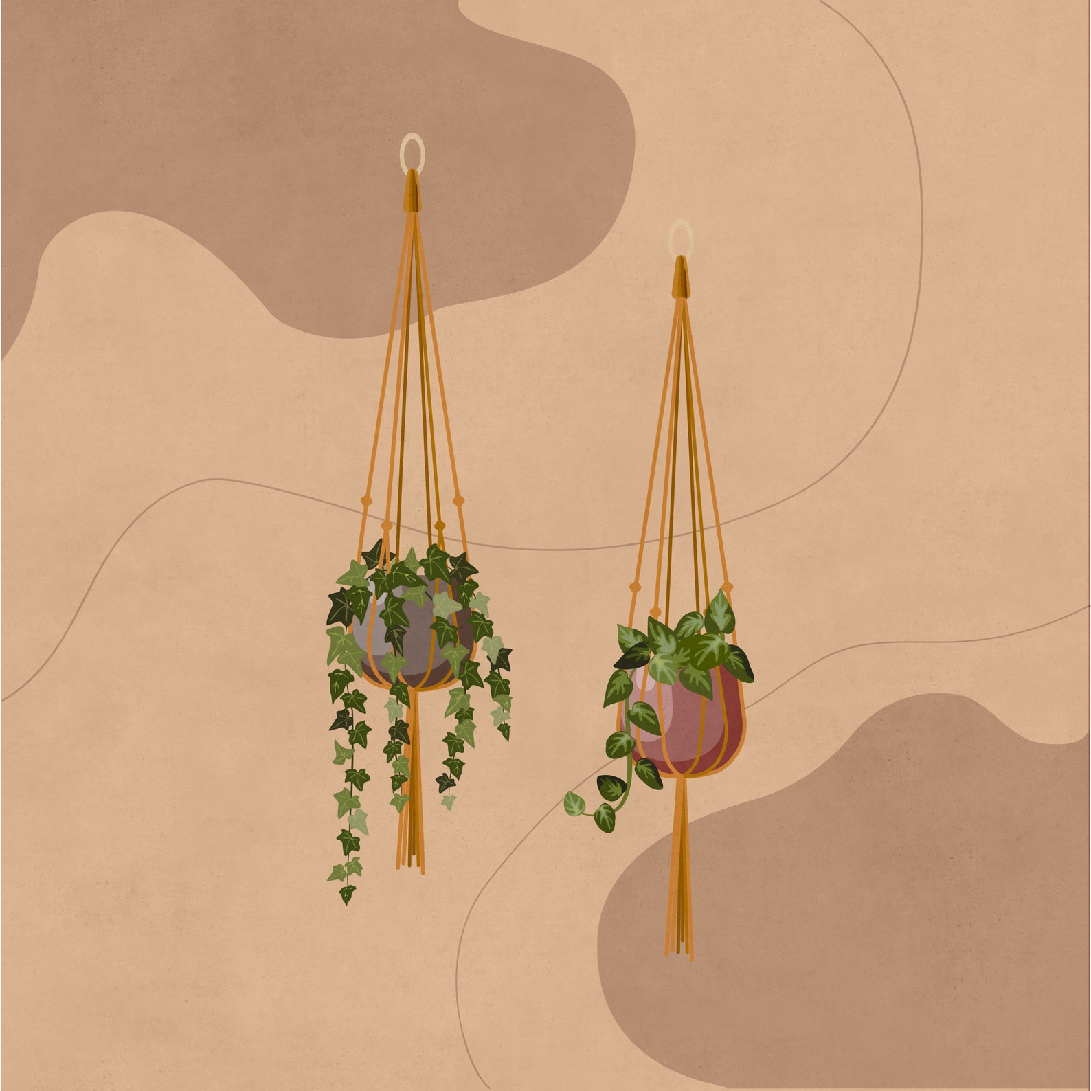 Boho House Plant Clipart - Set of House Plants Clipart - Flat Vector ...