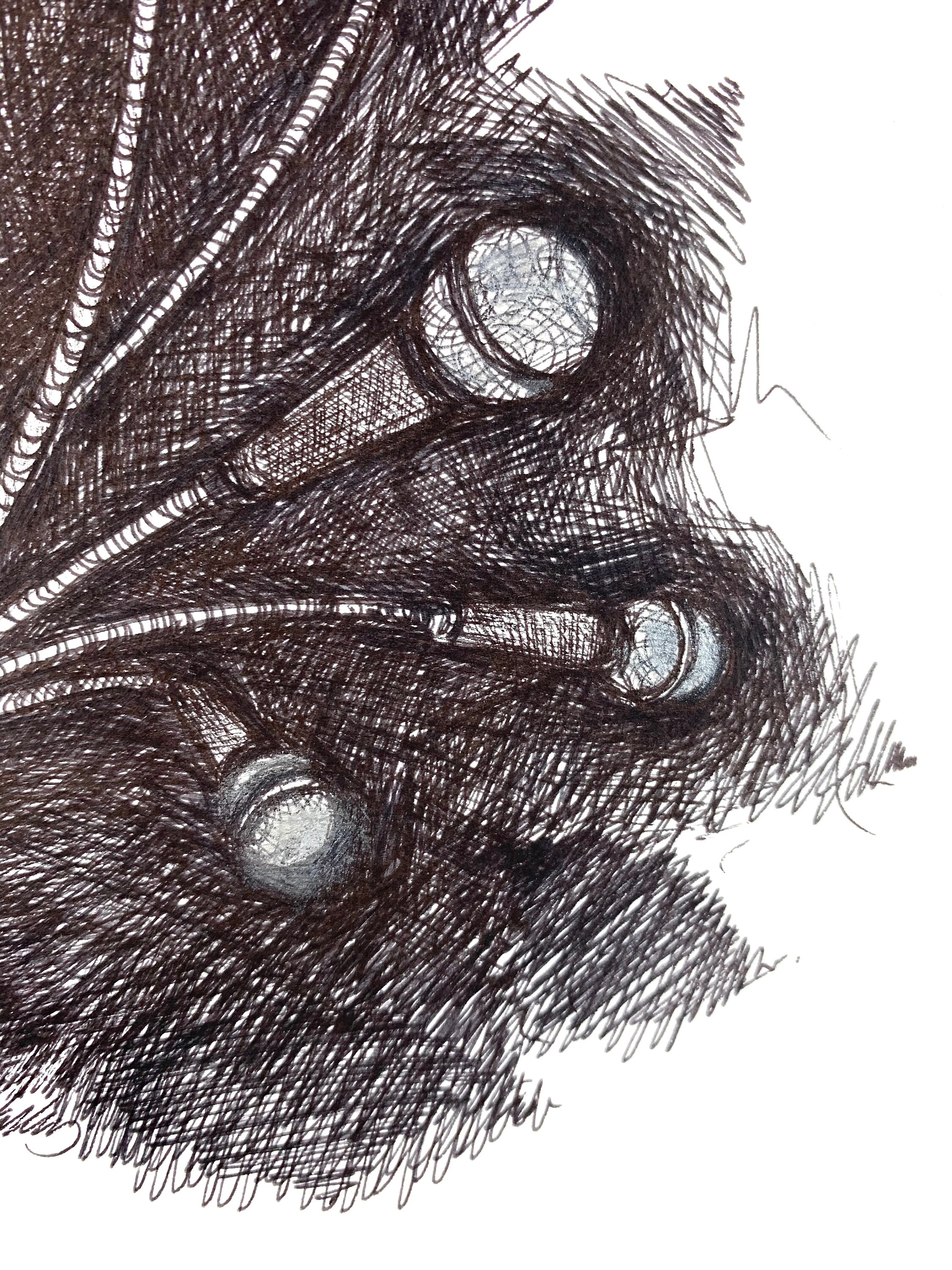 Pen and Ink Arboresque Drawing. Microphone Tree Roots Art. Music Themed ...