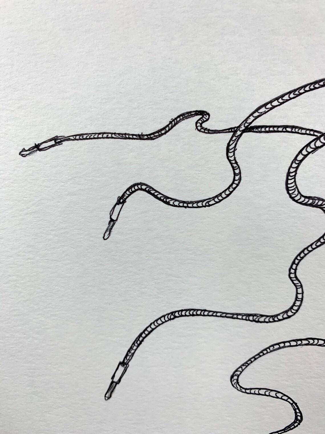 Pen and Ink Arboresque Print. Microphone Tree Roots Art. Music | Etsy