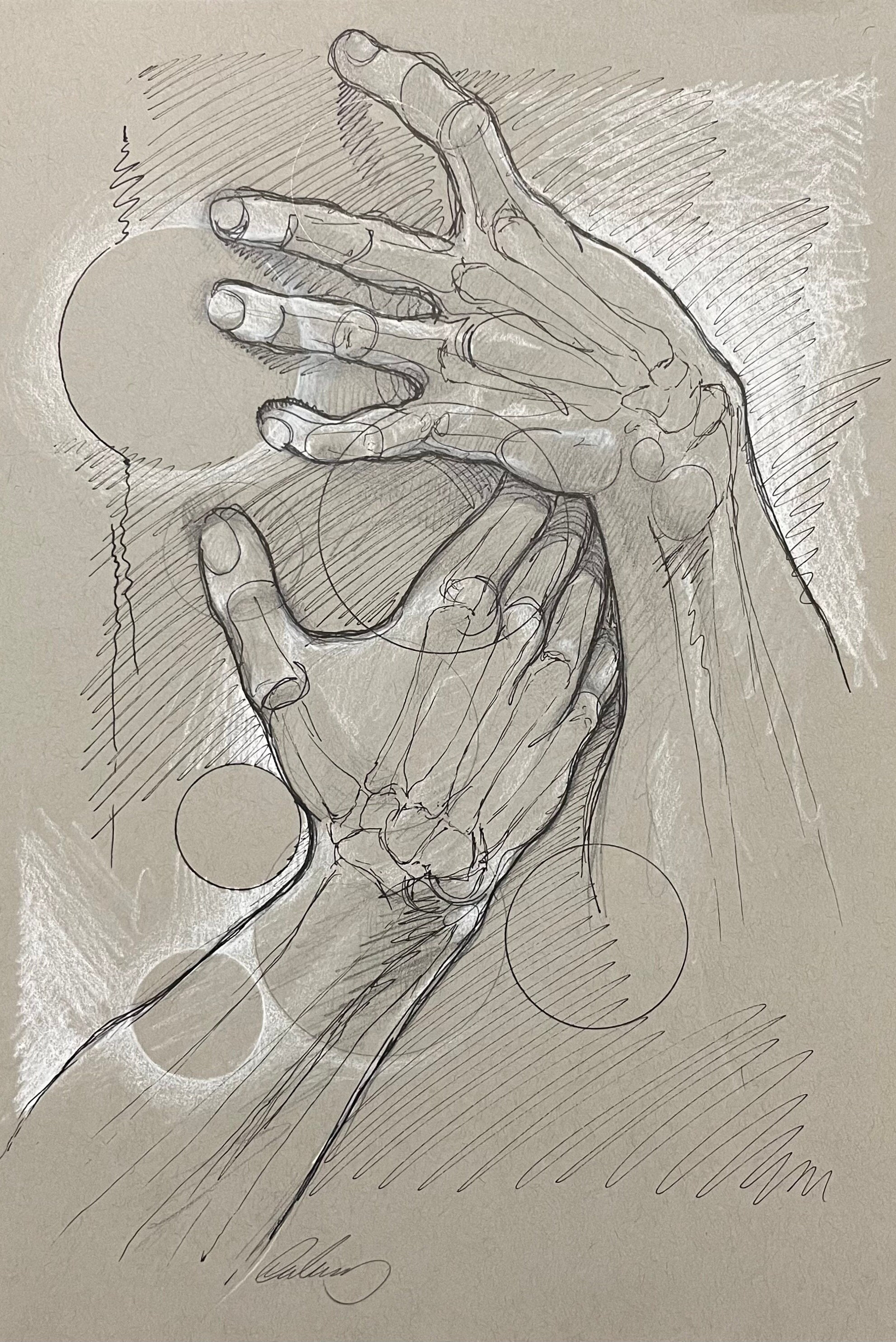 Anatomy Illustration. Hand, Wrist Bone Human Body Art. Human Anatomy ...