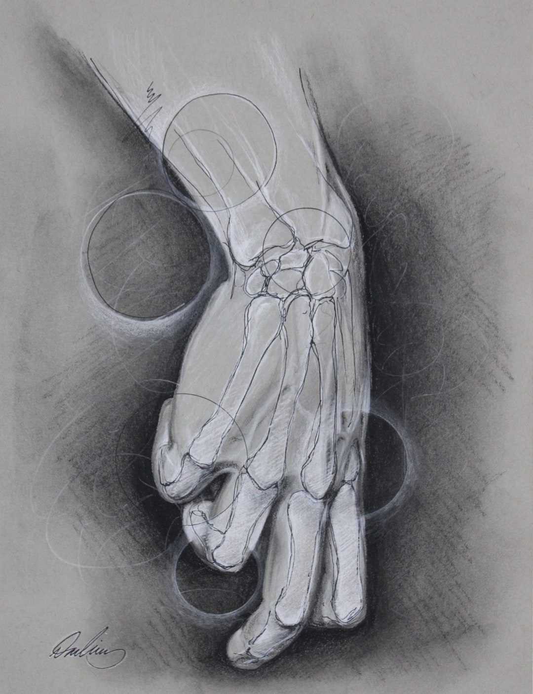 Hand,wrist Bone Anatomy Illustration. Charcoal Human Body Art. Human ...