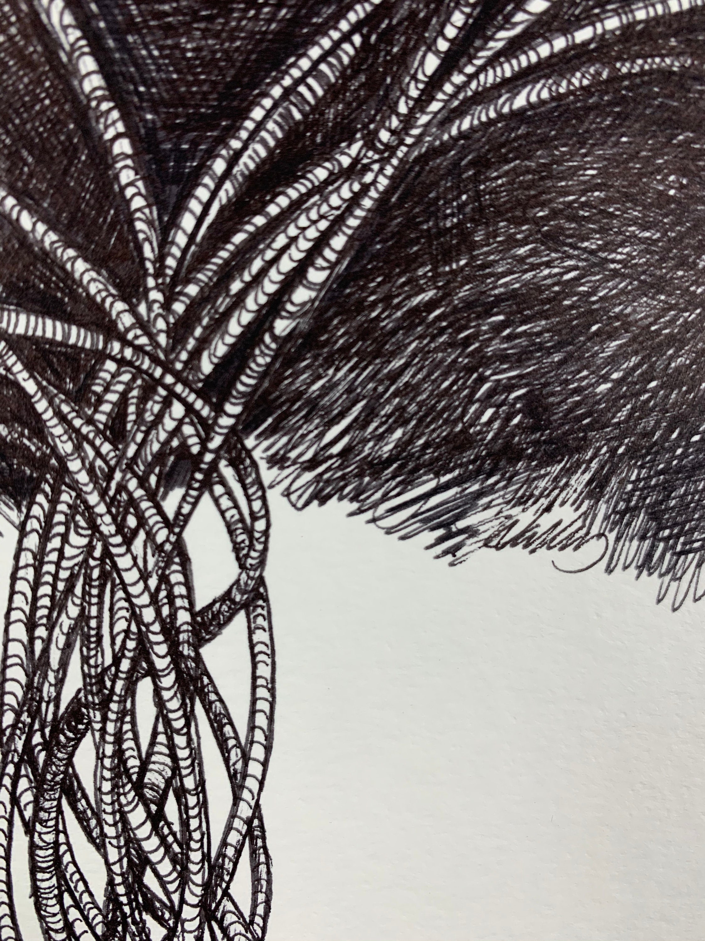 Pen and Ink Arboresque Drawing. Microphone Tree Roots Art. Music Themed ...