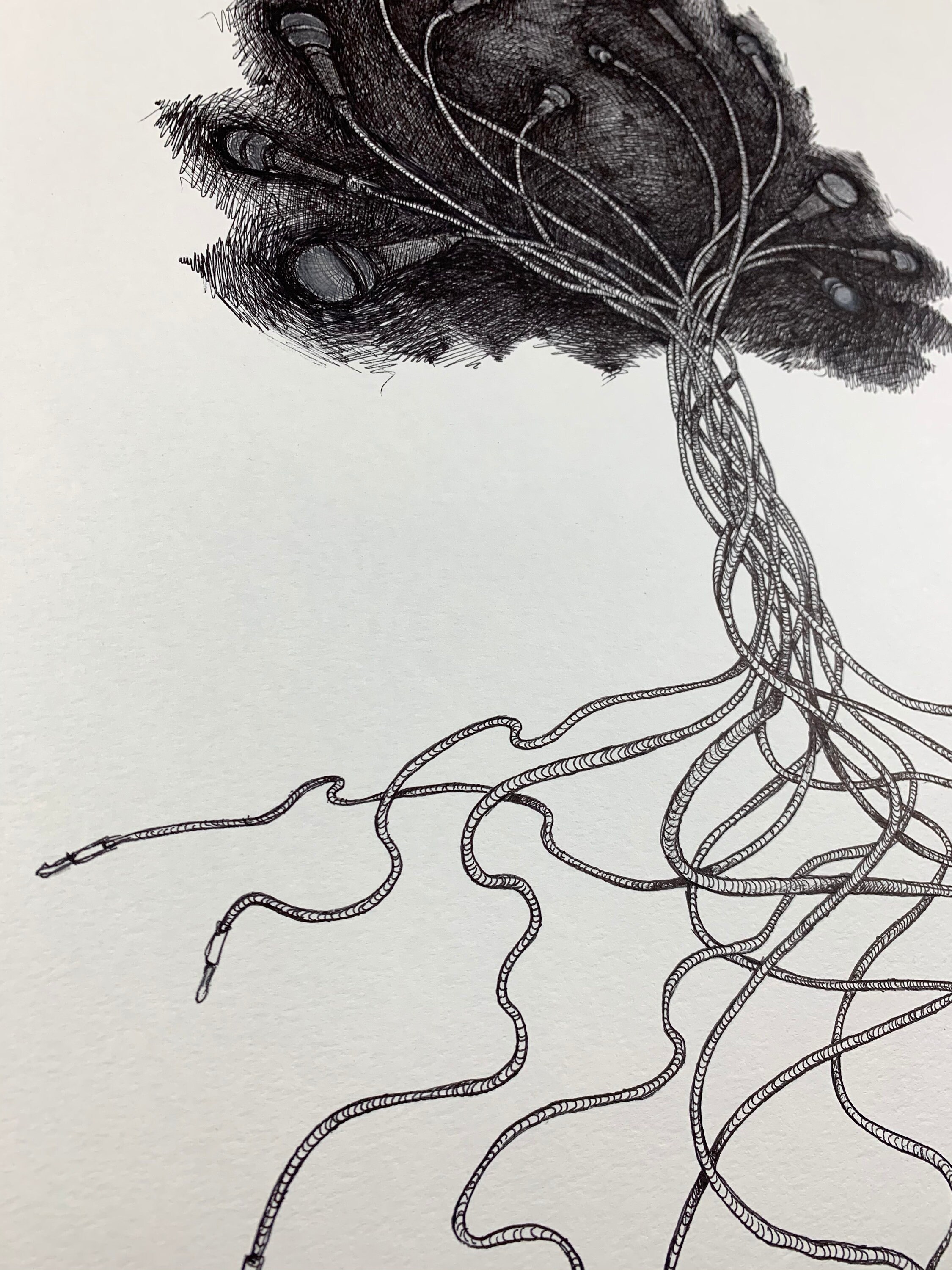 Pen and Ink Arboresque Drawing. Microphone Tree Roots Art. Music Themed ...