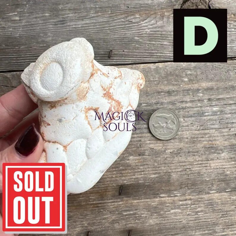 Fairy Goddess Menilite Opal Stone From Morocco - Etsy