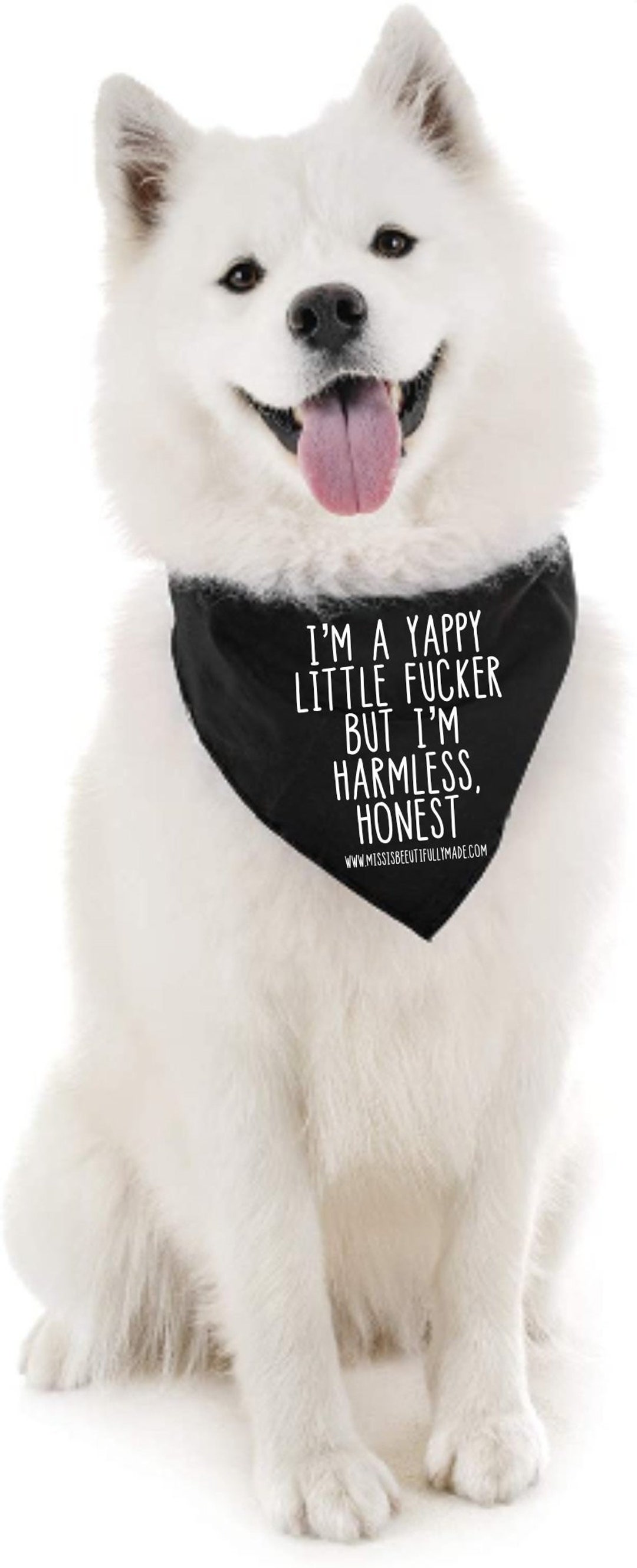 Are Japanese Spitz Yappy