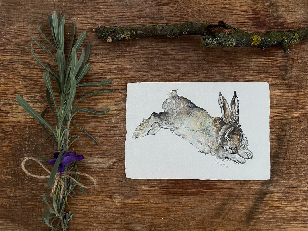 Resting Hare - Etsy