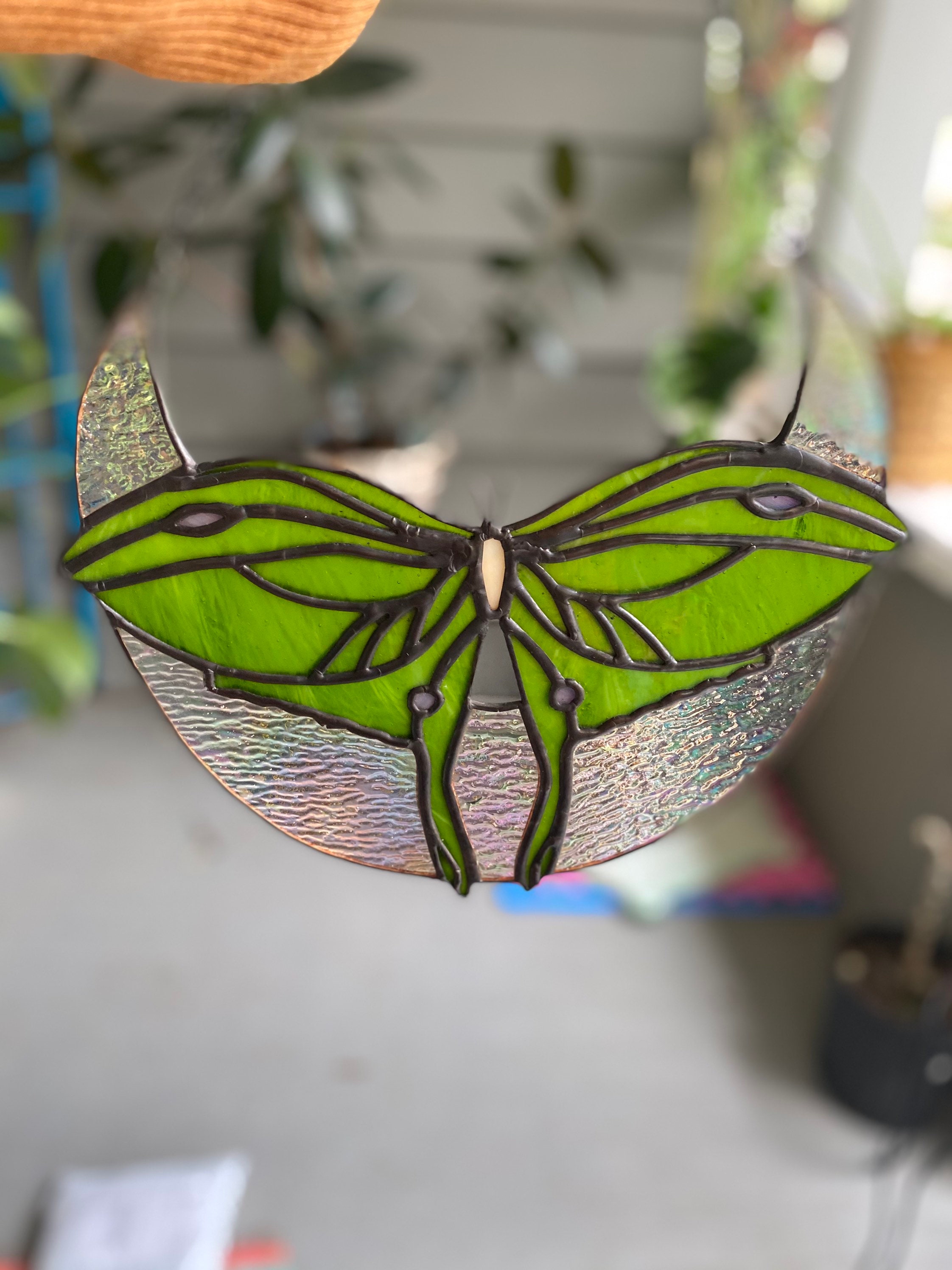 Stained Glass Luna Moth Green Iridescent Handmade Boho Home - Etsy