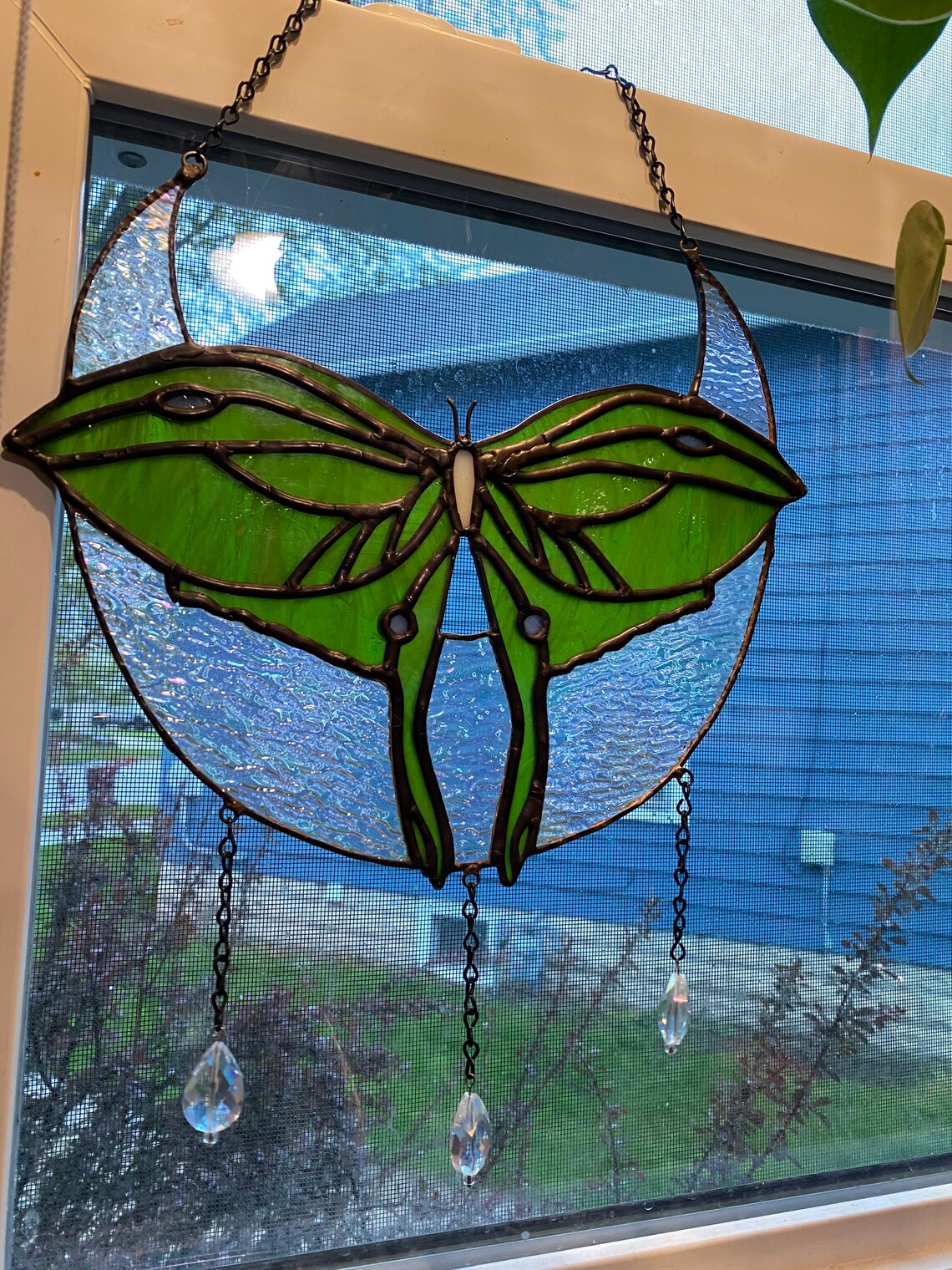 Stained Glass Luna Moth Green Iridescent Handmade Boho Home - Etsy